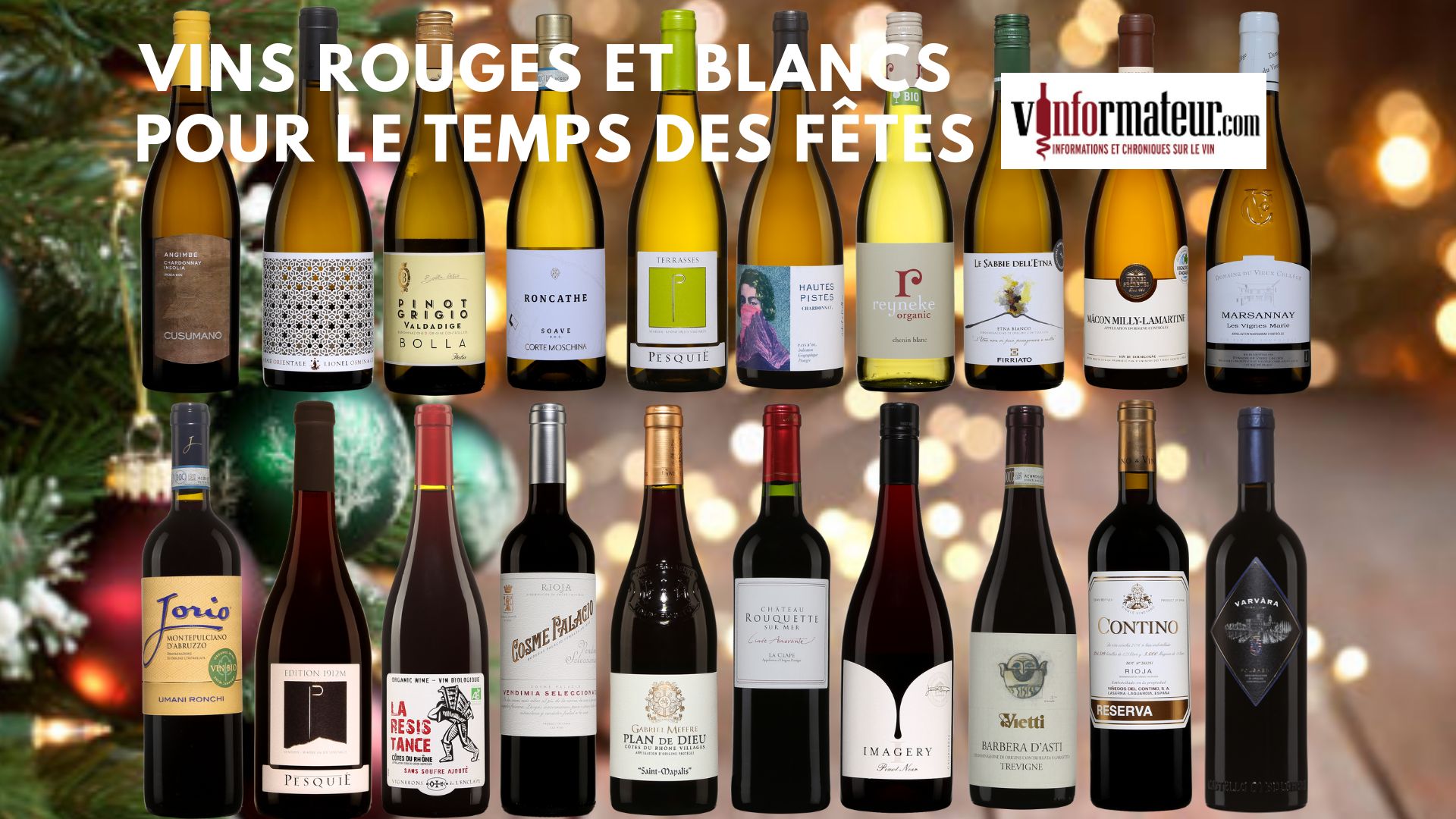 vins rouges et blancs | Vinformateur
