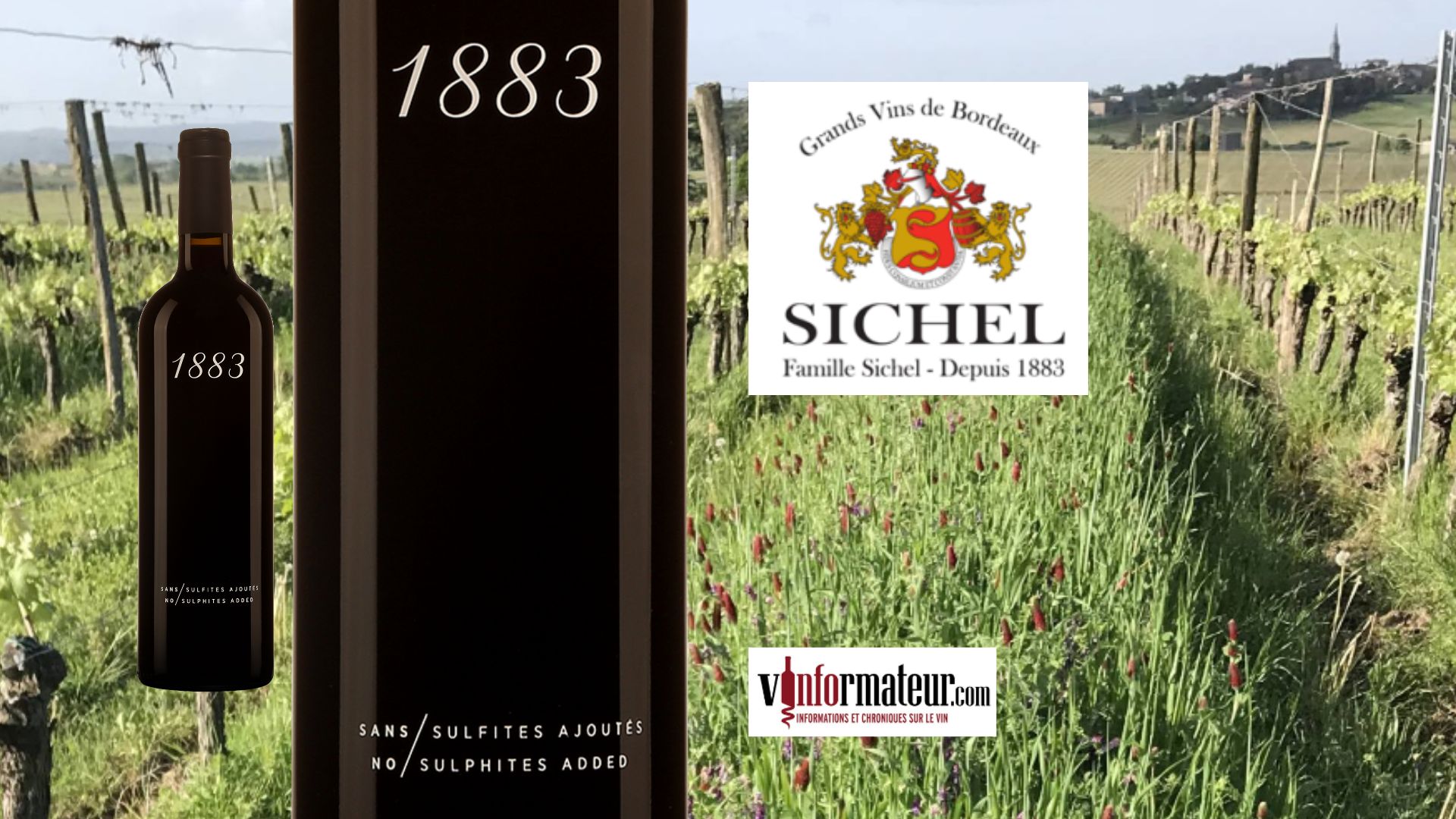 Maison Sichel Bordeaux 1883 | Vinformateur