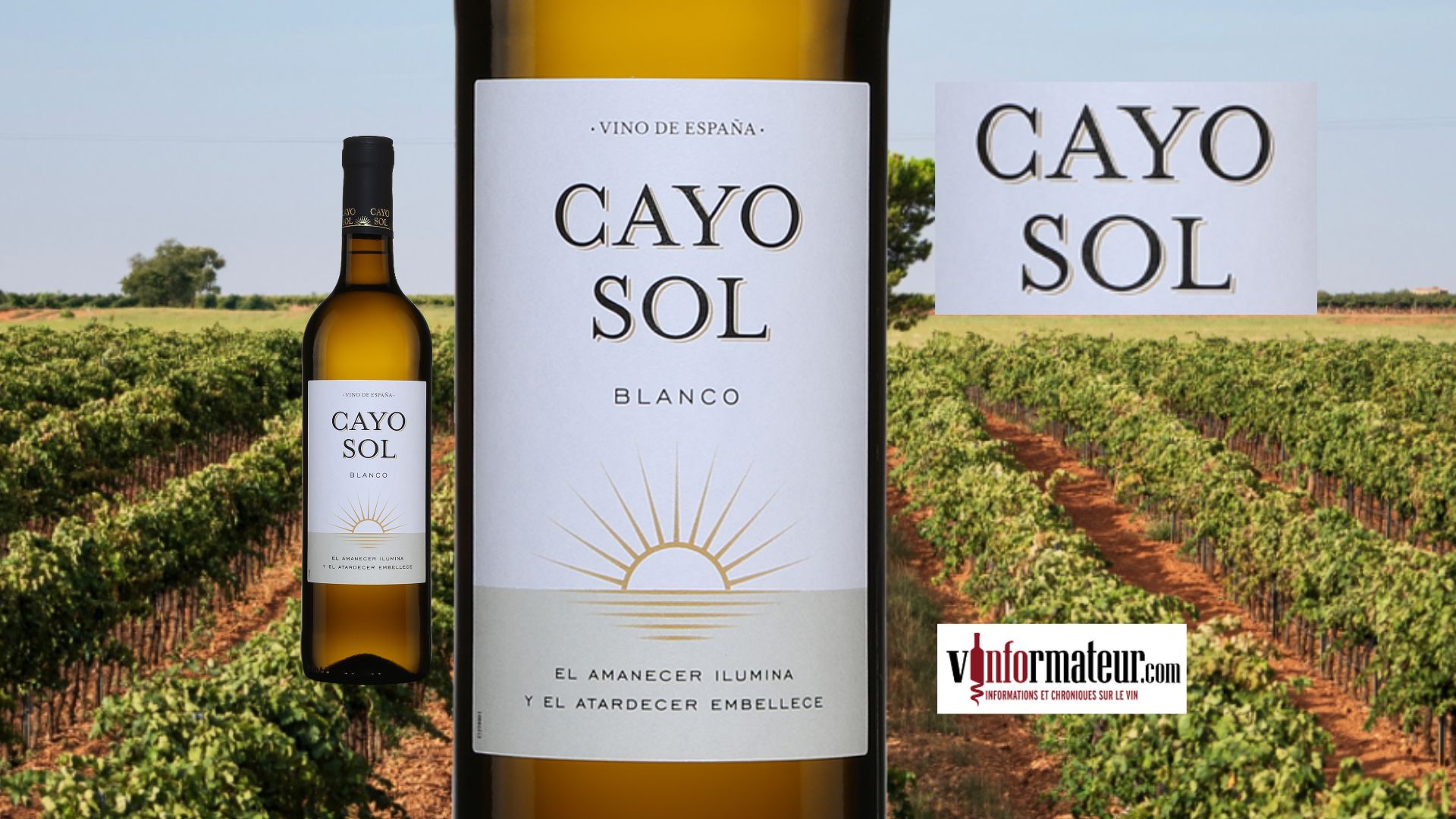 Cayo Sol Blanco | Vinformateur