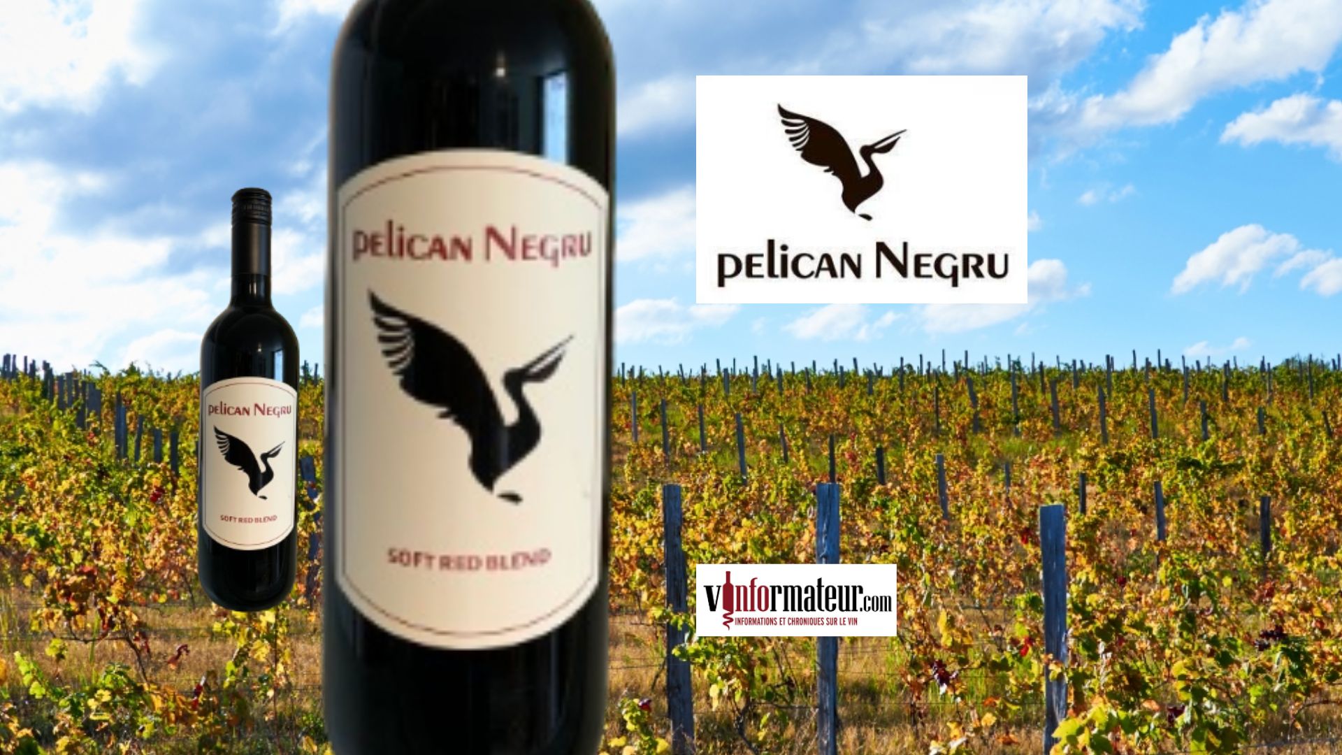 Vin rouge Moldavie Pelican Negru | Vinformateur