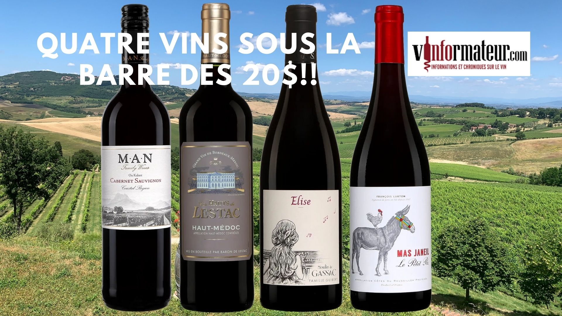 Quatre vins rouges sous les 20$ | Vinformateur