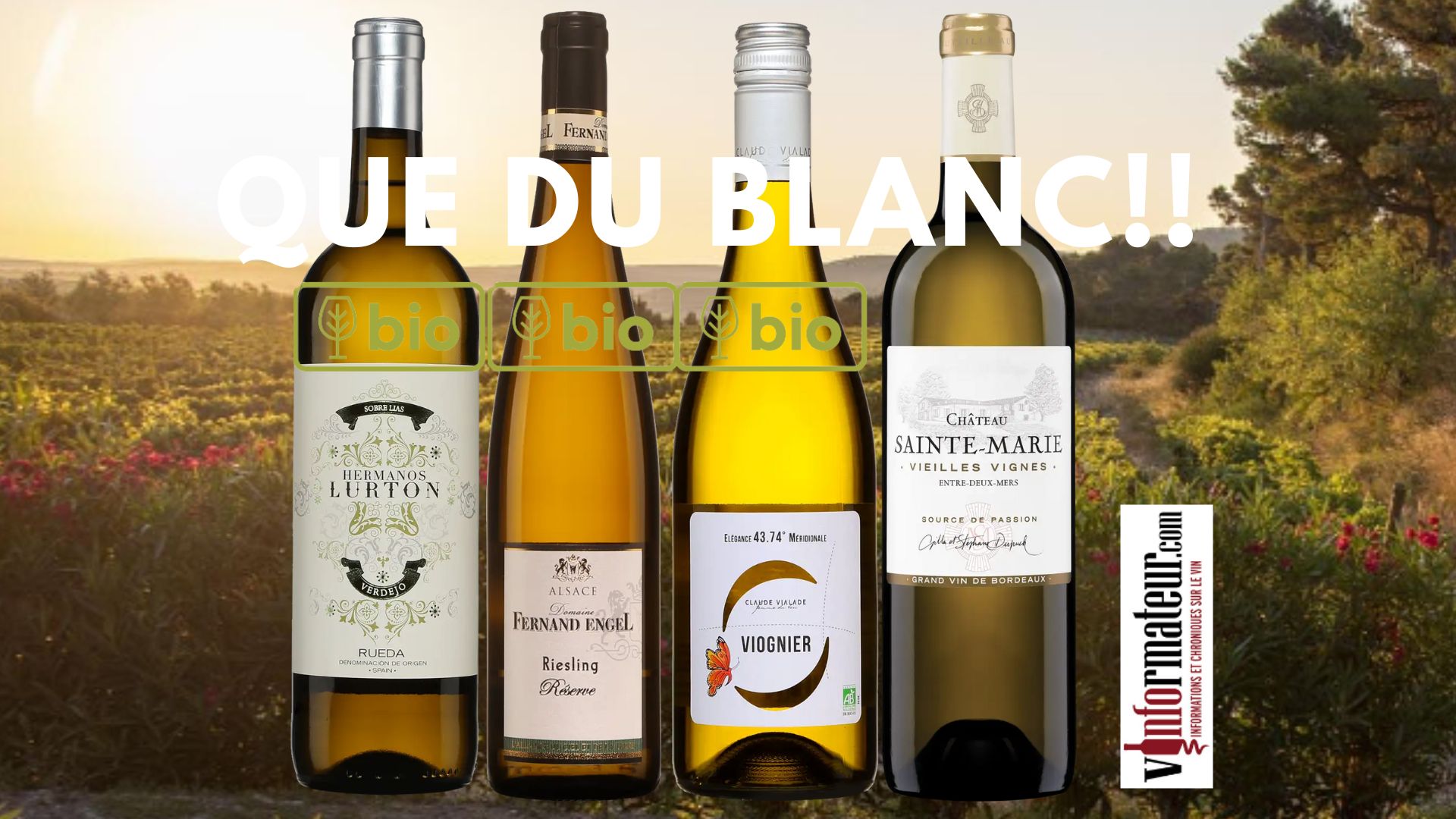Quatre vins blancs | Vinformateur