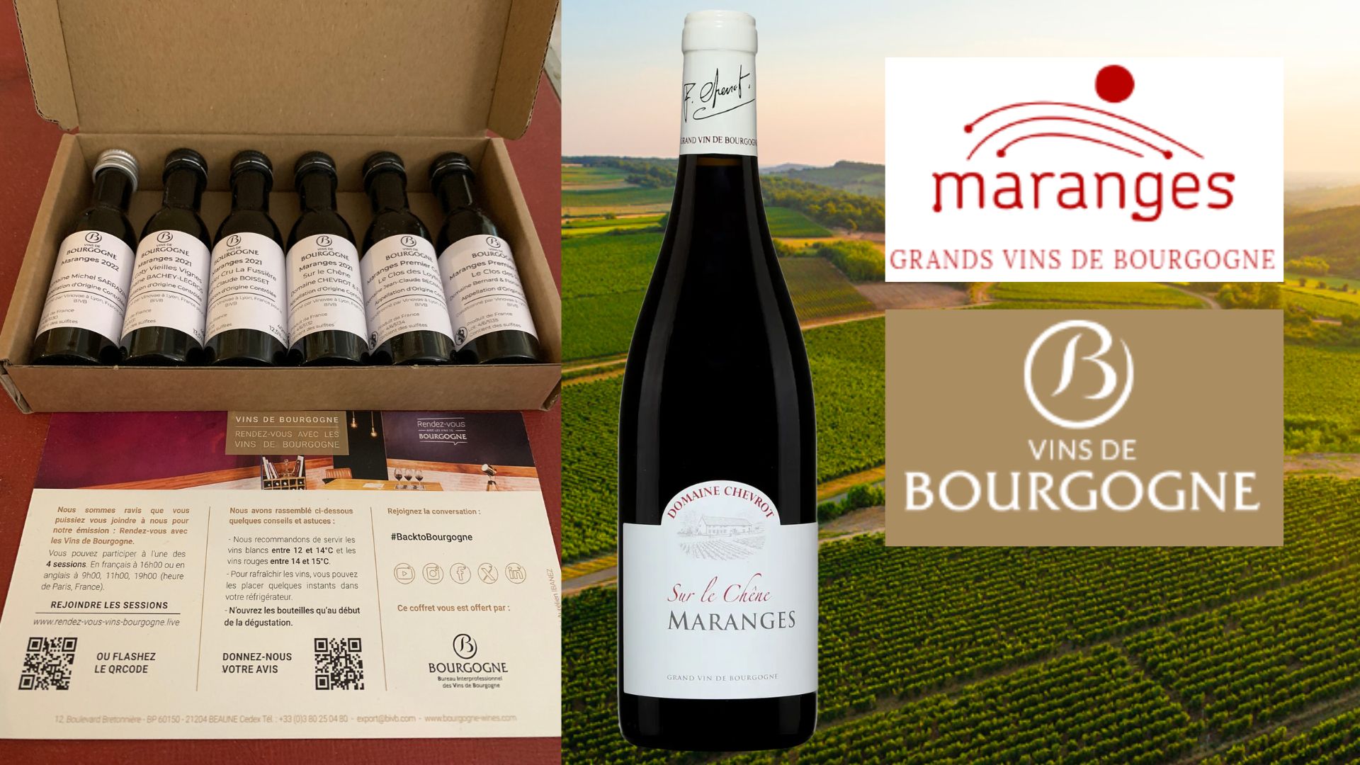 vins bourgogne maranges | Vinformateur