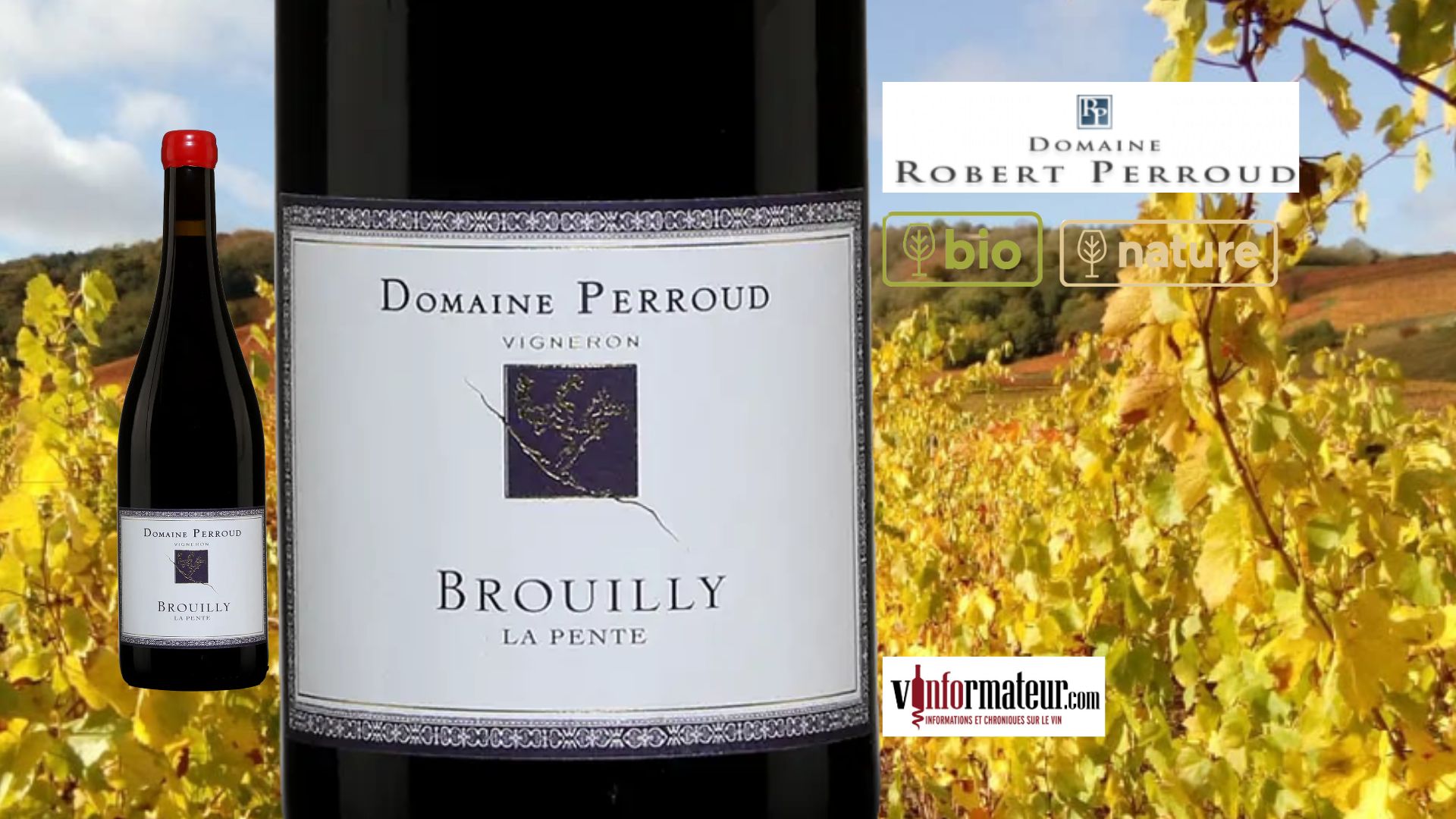 Brouilly bio Domaine Robert Perroud | Vinformateur
