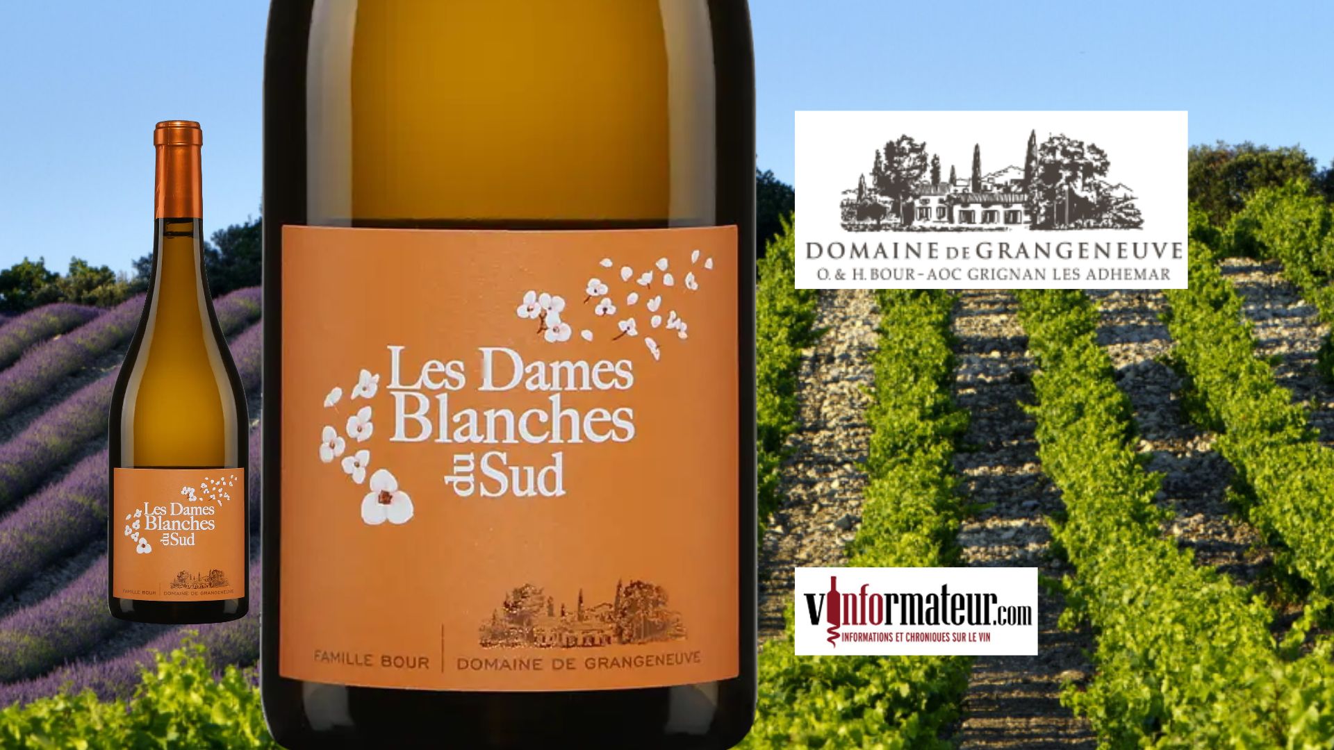 Vin blanc Les Dames Blanches du Sud de la Vallée du Rhône - Notes de ...