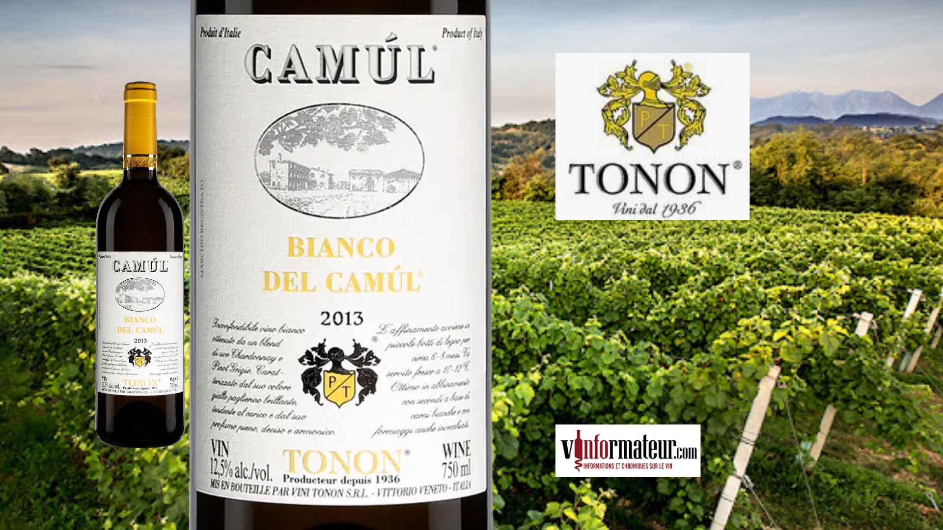 Bianco del Camul 2021 : Vin délicieux blanc polyvalent d'Italie ...