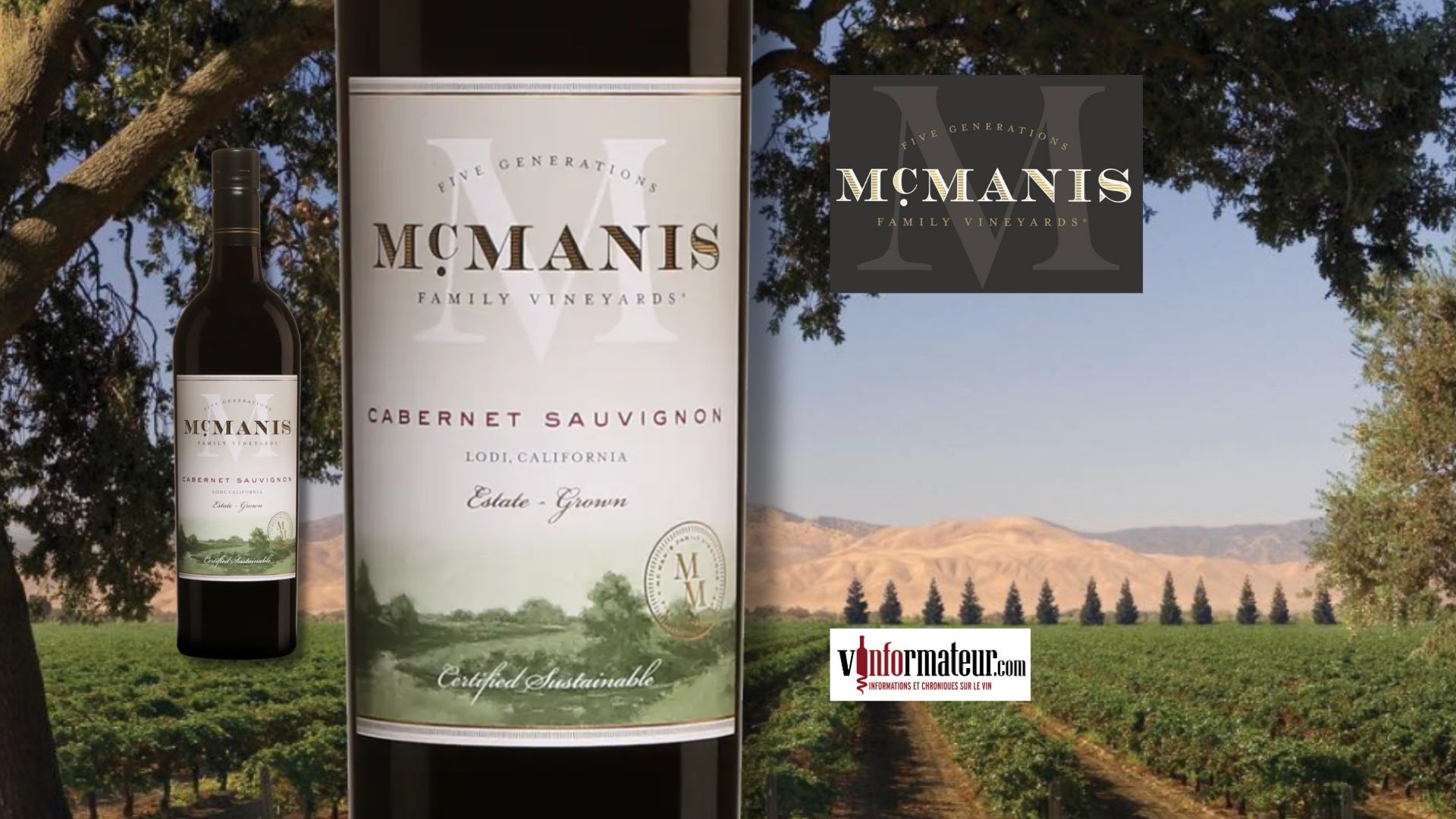 Découvrez le Cabernet Sauvignon McManis 2022: Polyvalence et Goût ...