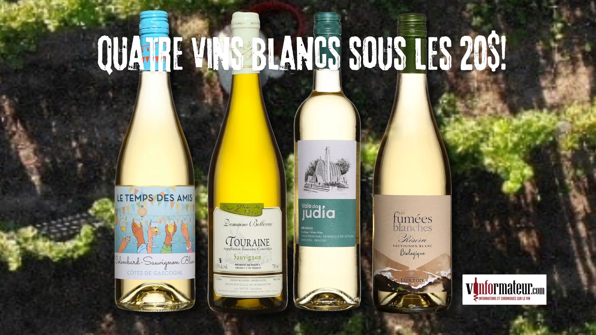Quatre Vins Blancs Délicieux à moins de 20$ à ne pas manquer ...