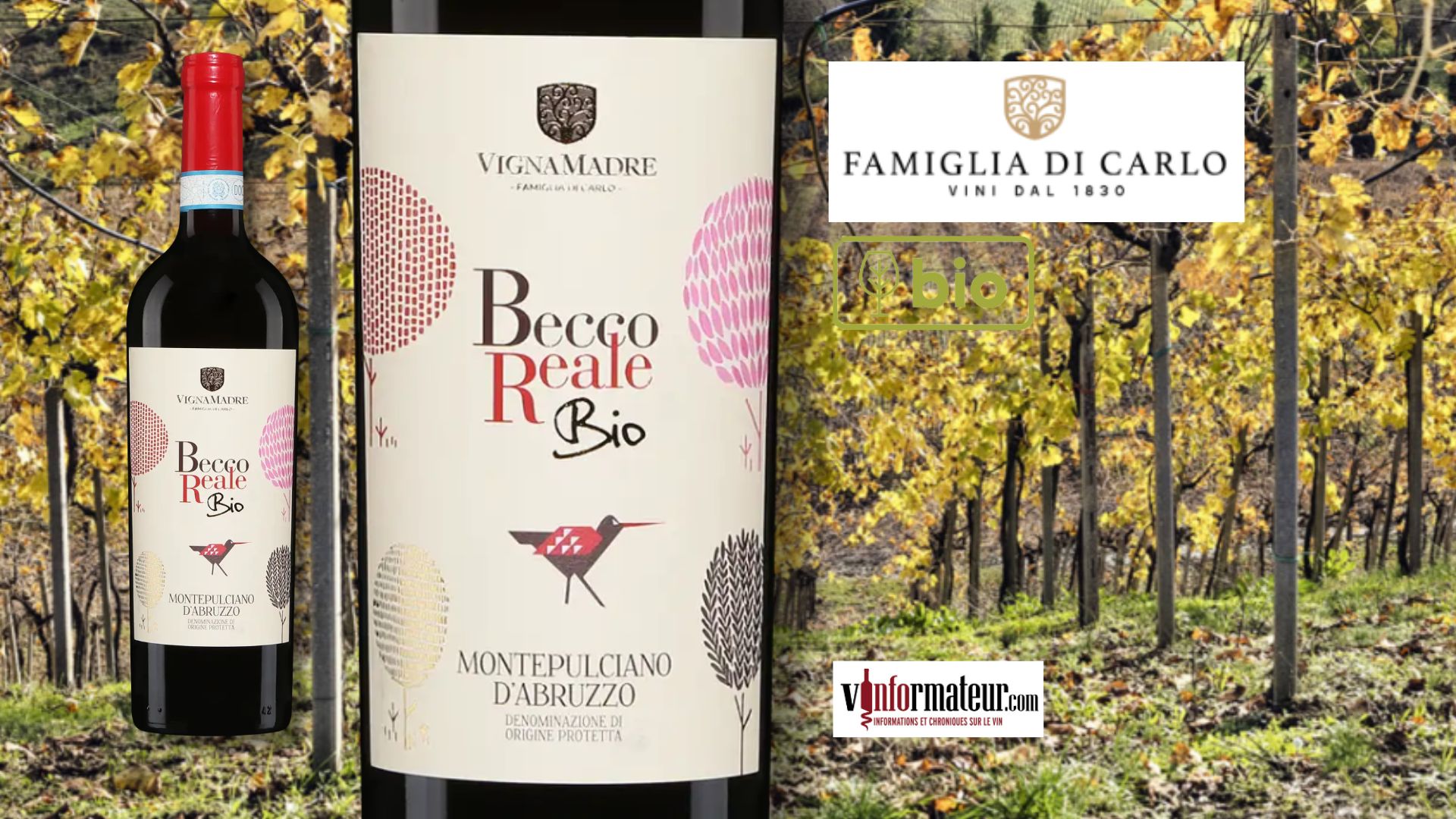 Découvrez le Becco Reale Montepulciano d'Abruzzo Bio 2018 - Vin Rouge d ...