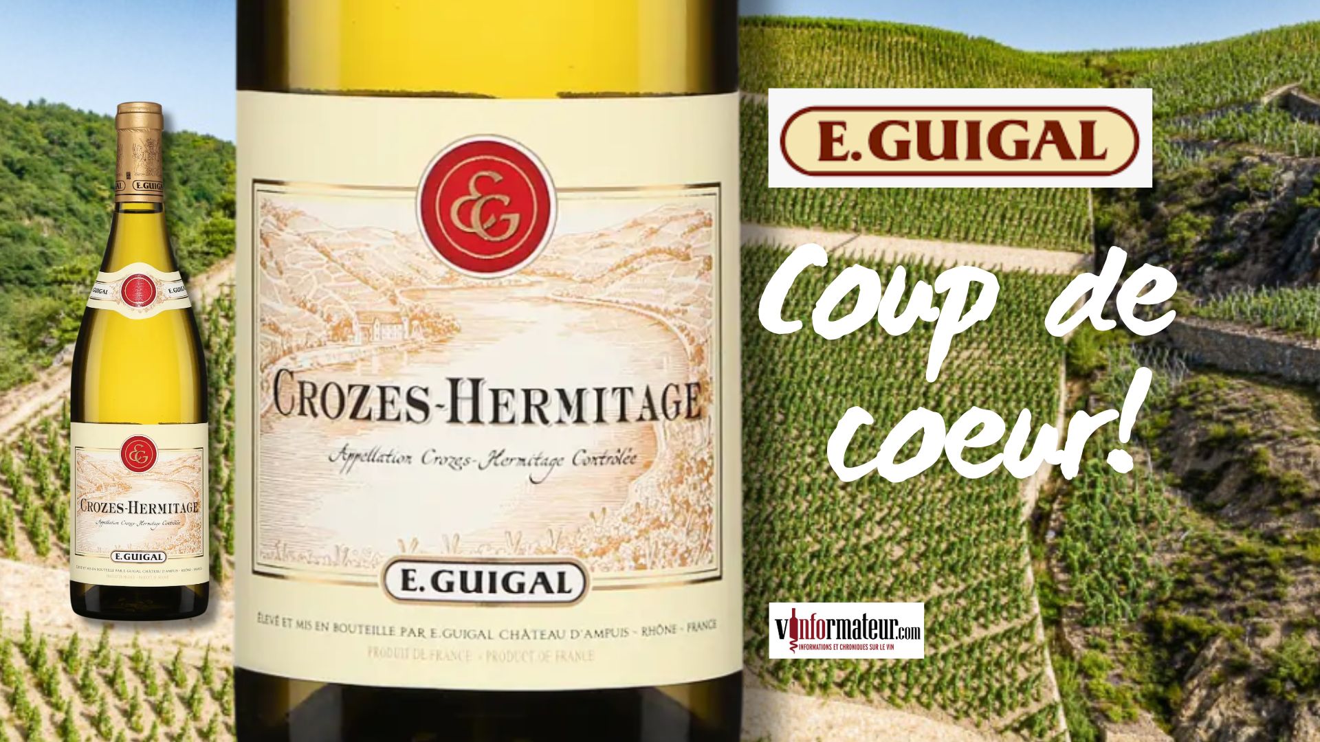 Crozes-Hermitage Blanc E. Guigal 2020 - Vin Blanc Coup de Coeur | Vallée du Rhône | Vinformateur
