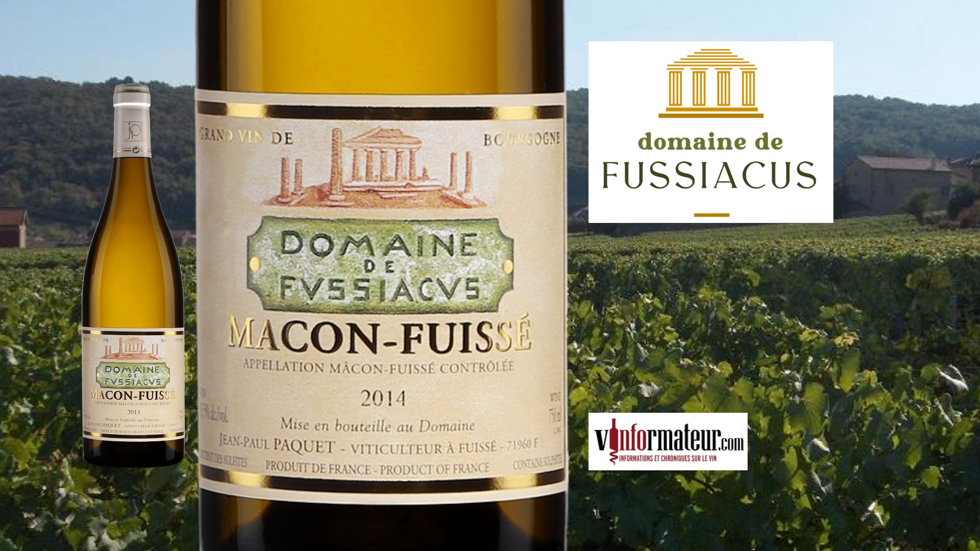 Mâcon-Fuissé 2023 : un très beau vin Blanc Domaine de Fussiacus ...