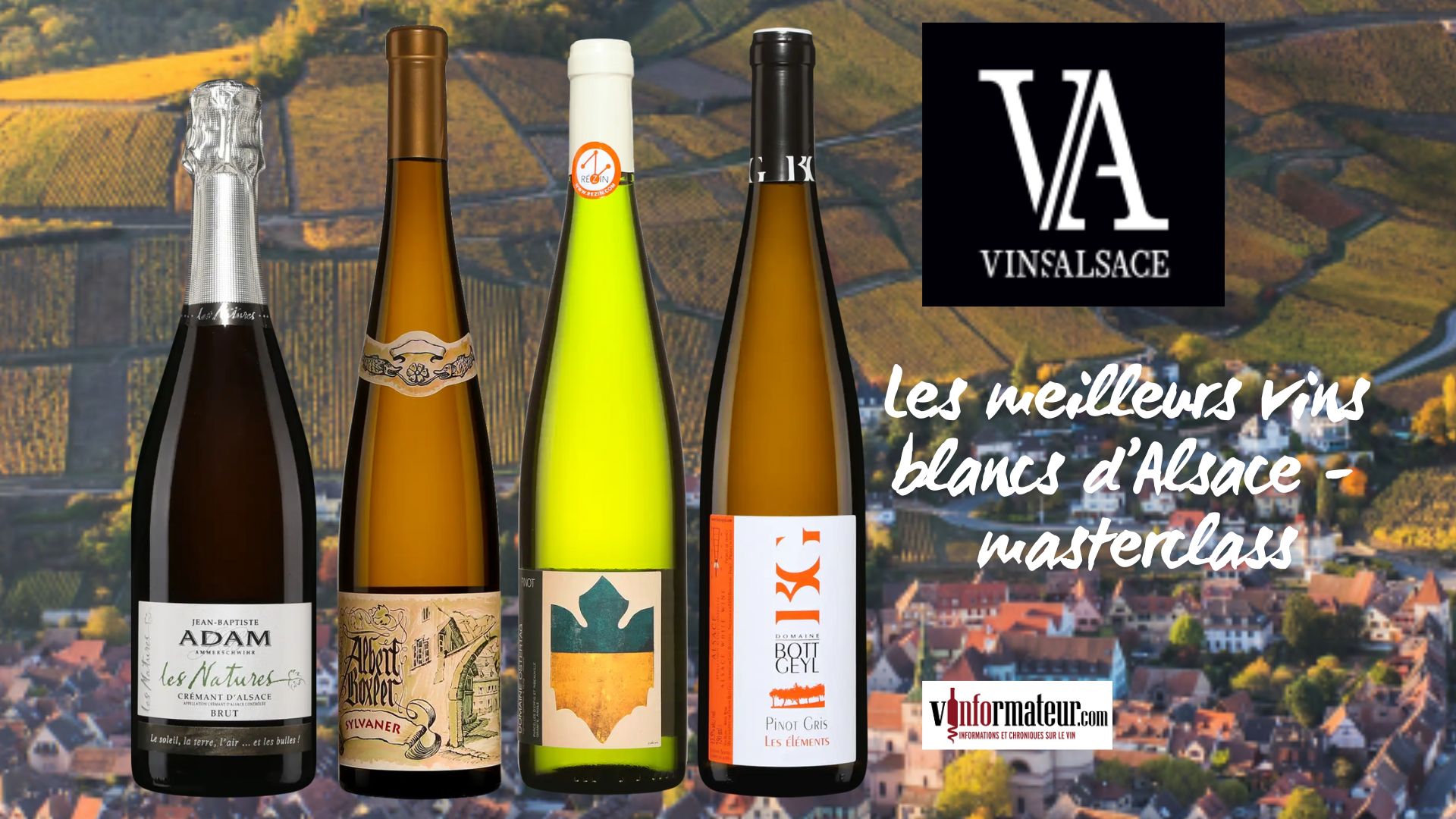 Top 4 des meilleurs vins blancs d'Alsace : masterclass | Vinformateur