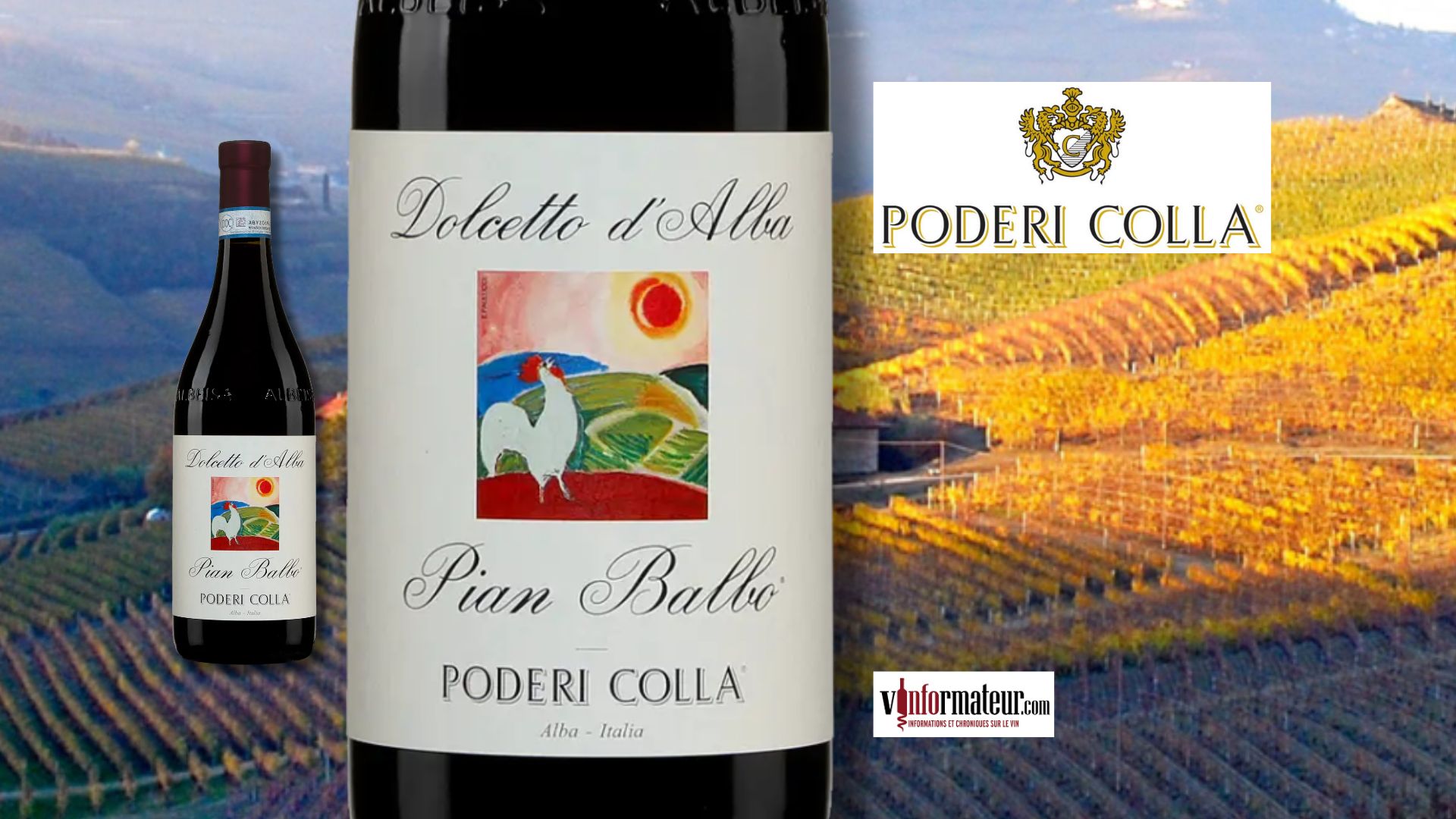 Poderi Colla Dolcetto d'Alba 2023 - Vin Italien authentique et ...