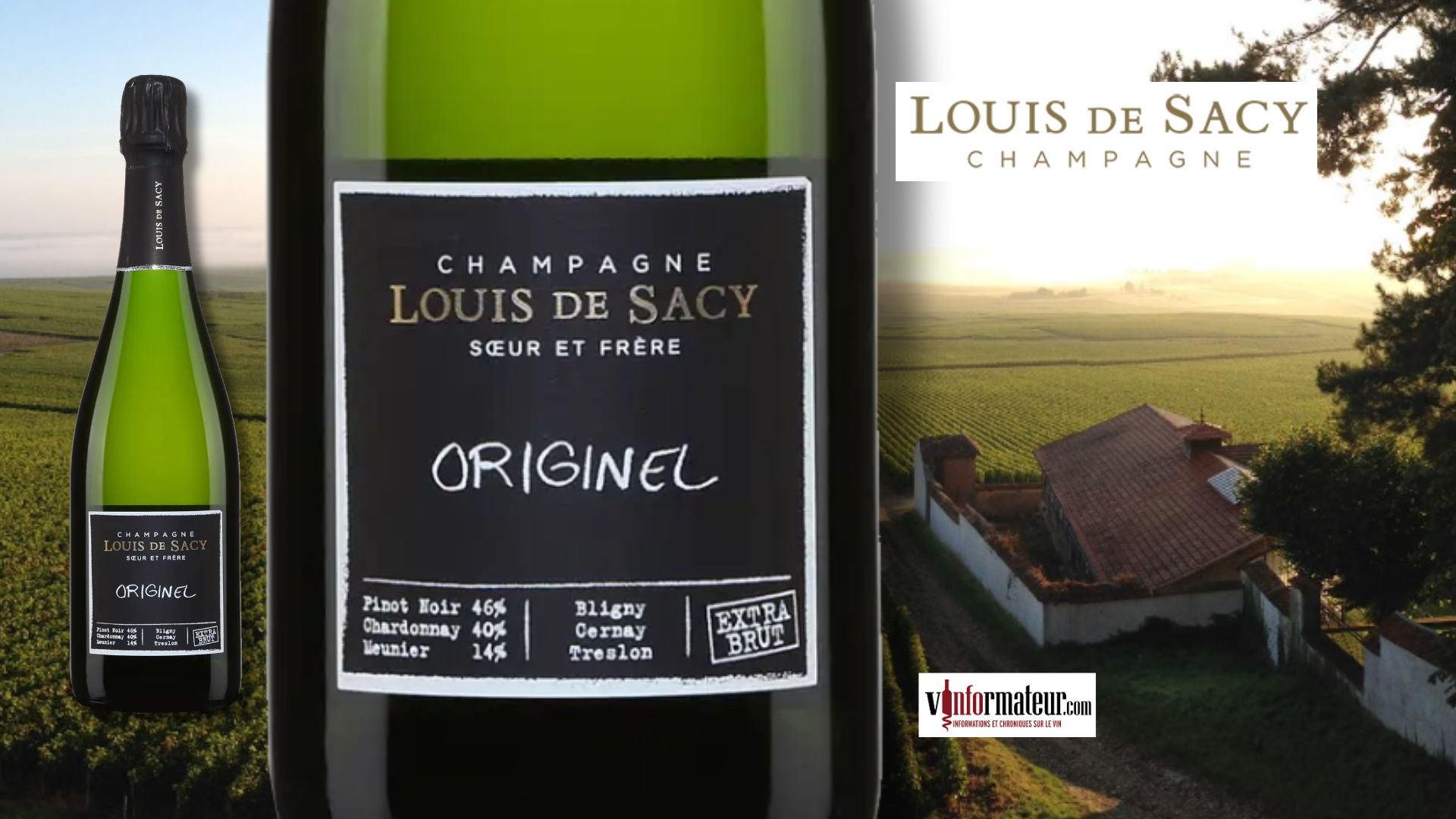 Champagne Louis de Sacy Cuvée Originel Extra Brut | Vinformateur