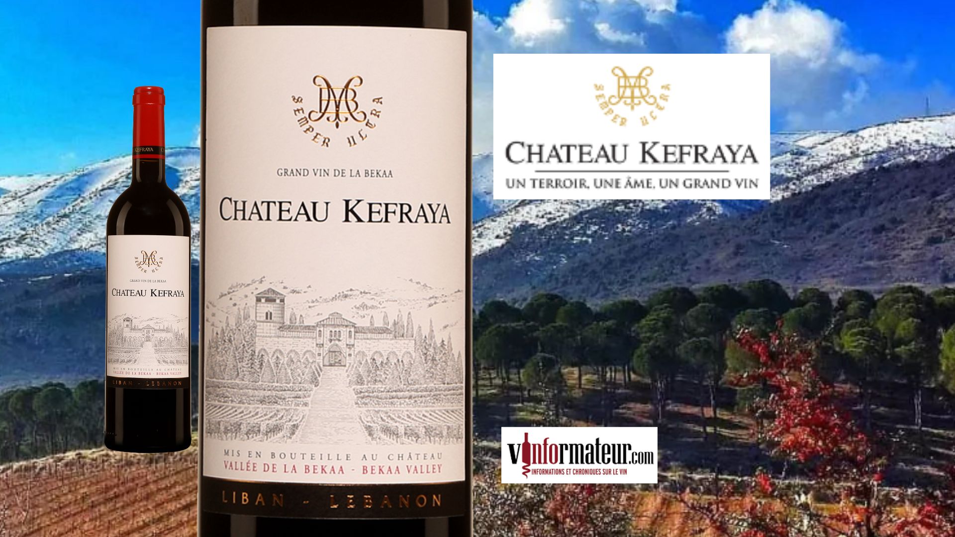 Château Kefraya 2019 : Vin rouge libanais généreux et savoureux ...