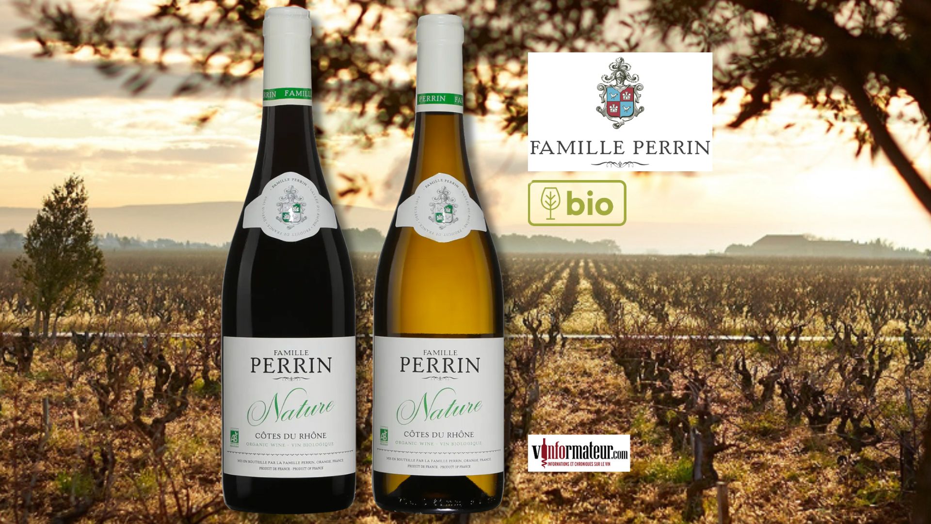 Famille Perrin Signature 2023 Blanc : L'excellence bio des Côtes du ...