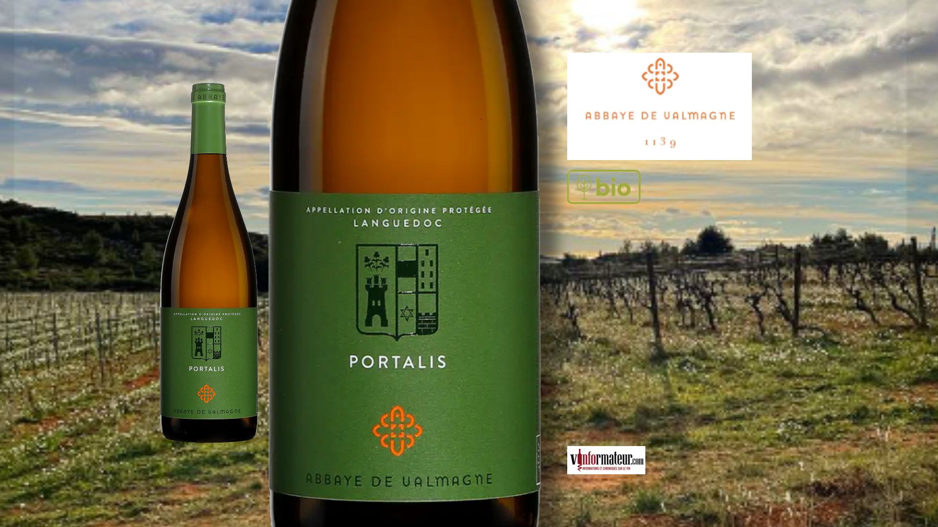 Portalis 2023 – Un vin blanc bio de l’Abbaye de Valmagne, une valeur ...