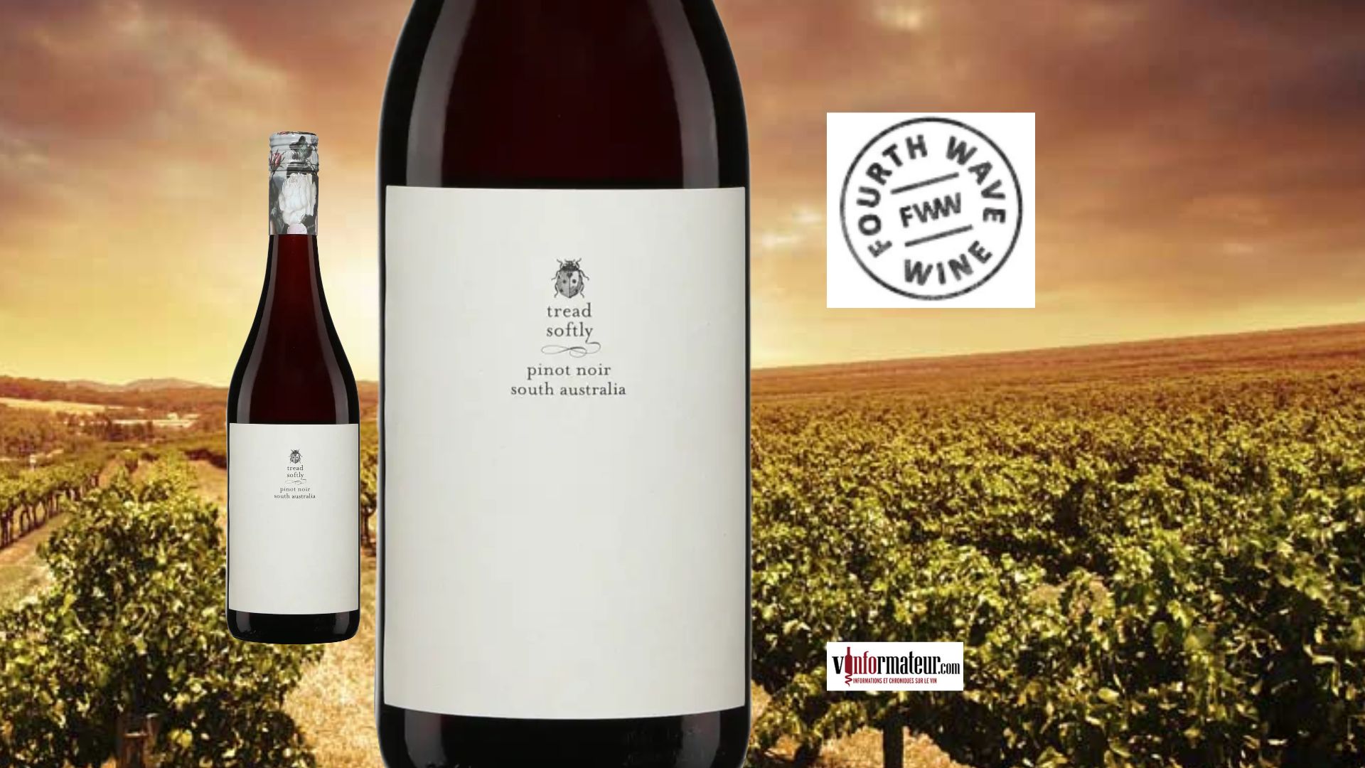 Tread Softly Pinot Noir 2023 : un rouge australien frais et résolument ...