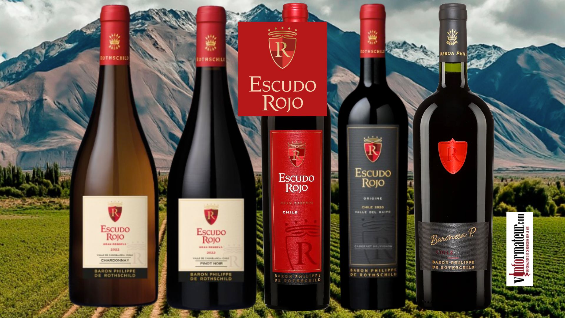 Escudo Rojo : L’Excellence du Chili signée Baron Philippe de Rothschild ...