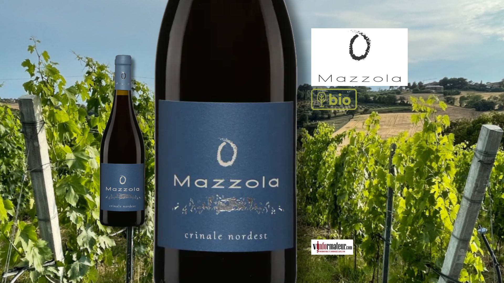Cantina Mazzola Crinale Nordest 2023 : Un Lacrima bio des Marches à ...