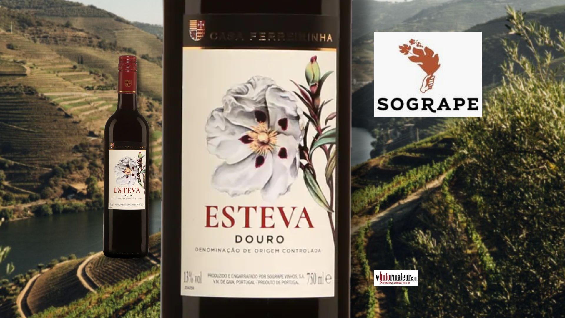 Esteva Douro 2021 – Un vin rouge du Portugal polyvalent et abordable ...