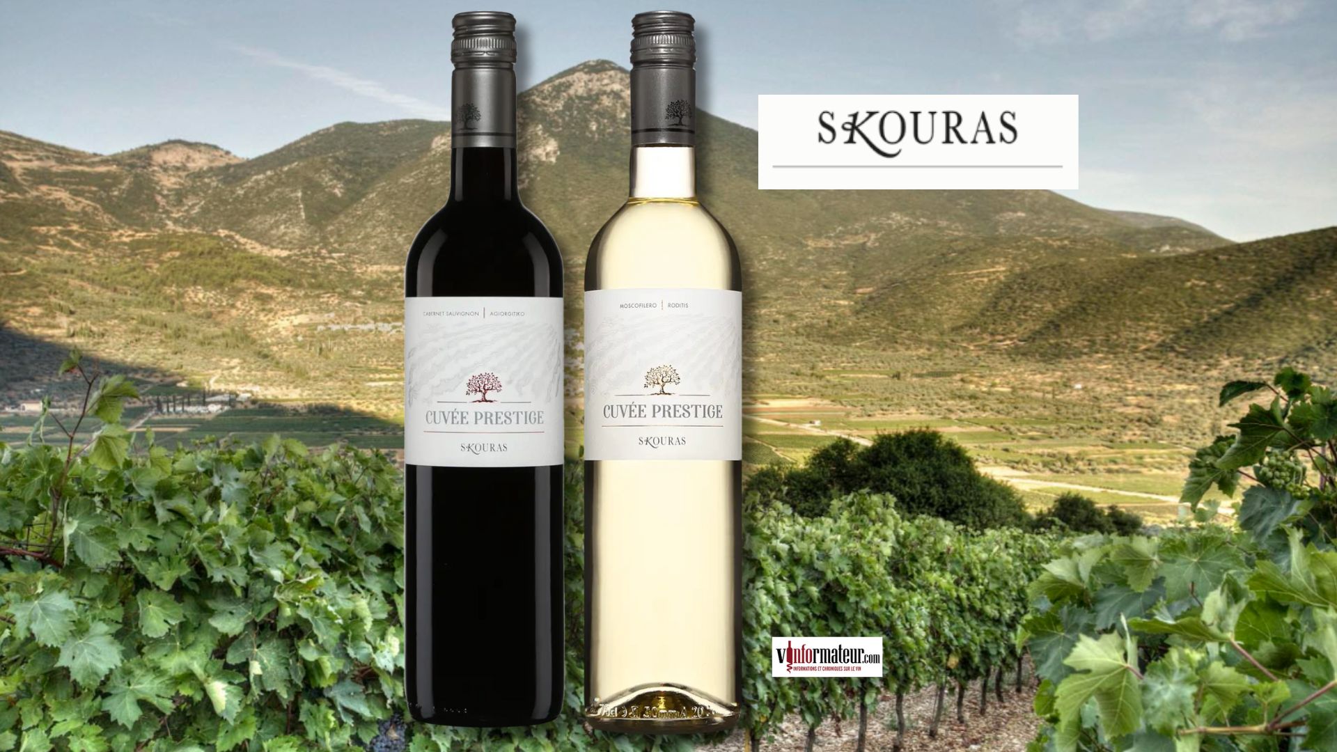Domaine Skouras Cuvée Prestige : deux vins grecs à découvrir absolument ...