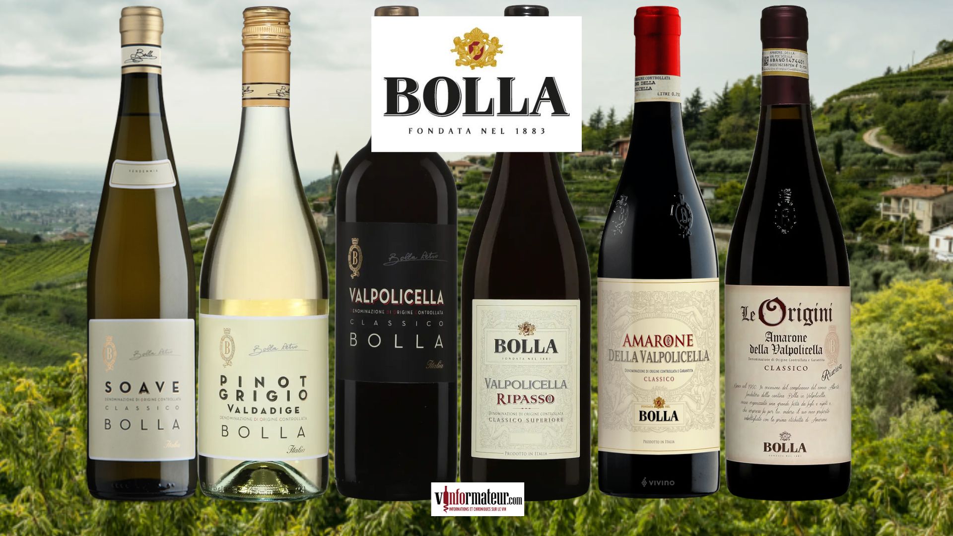 Dégustation Bolla : Soave, Valpolicella, Ripasso, Amarone | Vinformateur