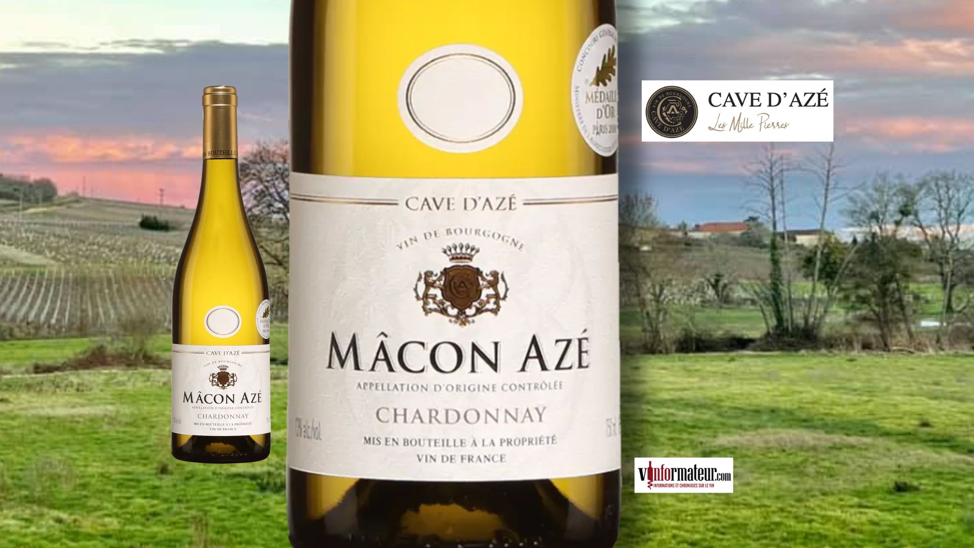 Chardonnay Mâcon-Azé 2023 – Cave d’Azé à la SAQ | Vinformateur