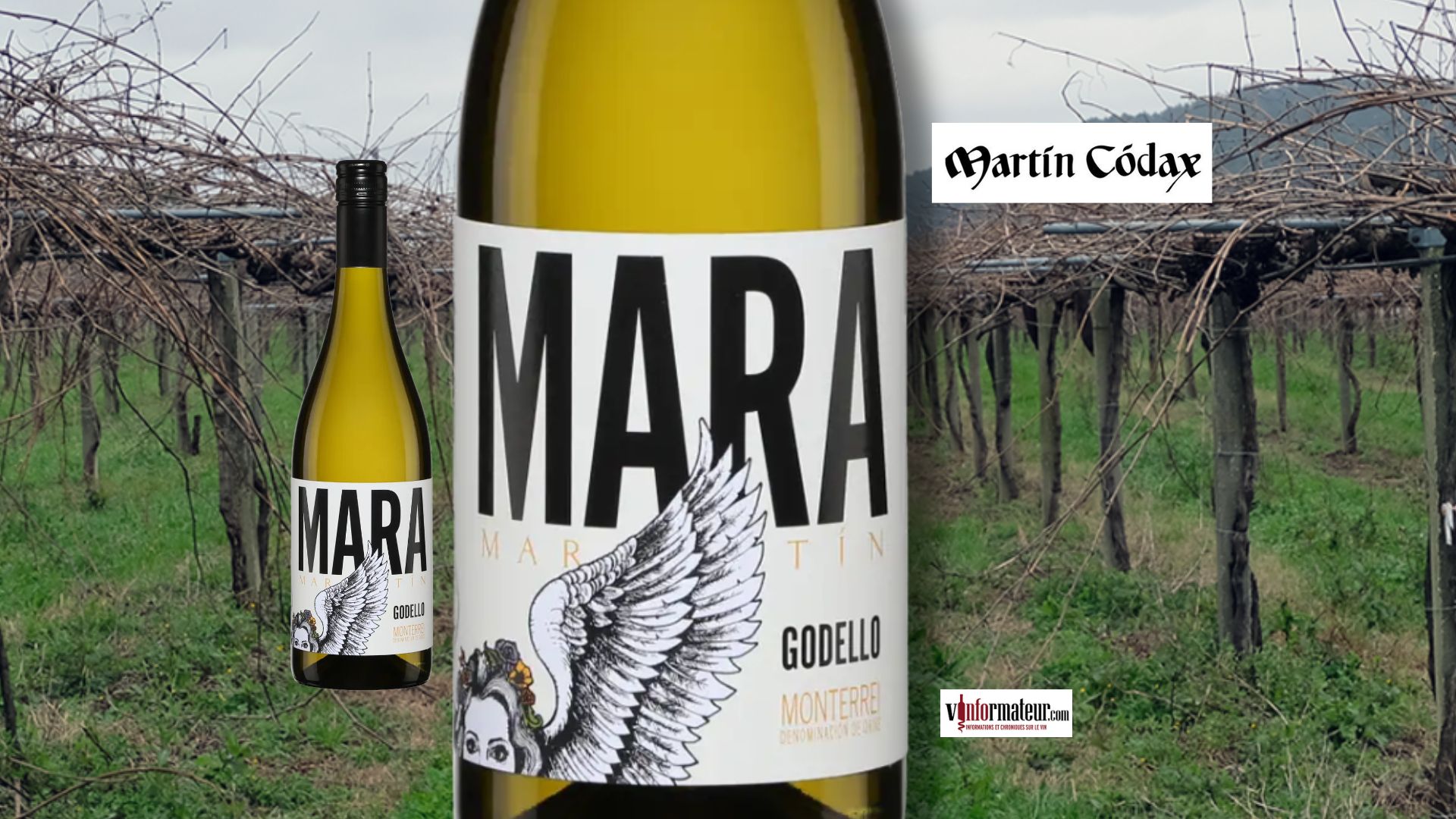 Godello Mara Martín 2023 – Vin blanc vibrant d’Espagne | Vinformateur