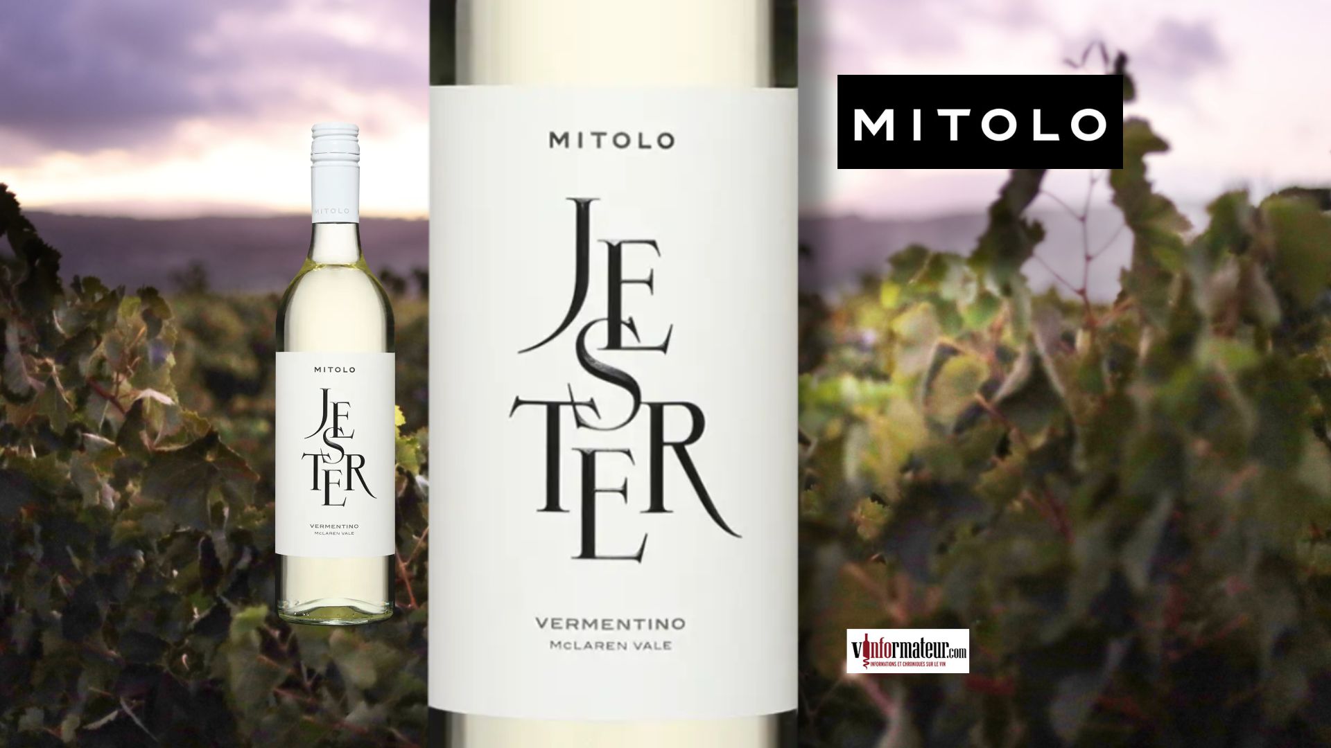 Vermentino Jester 2024 – Mitolo McLaren Vale à la SAQ | Vinformateur