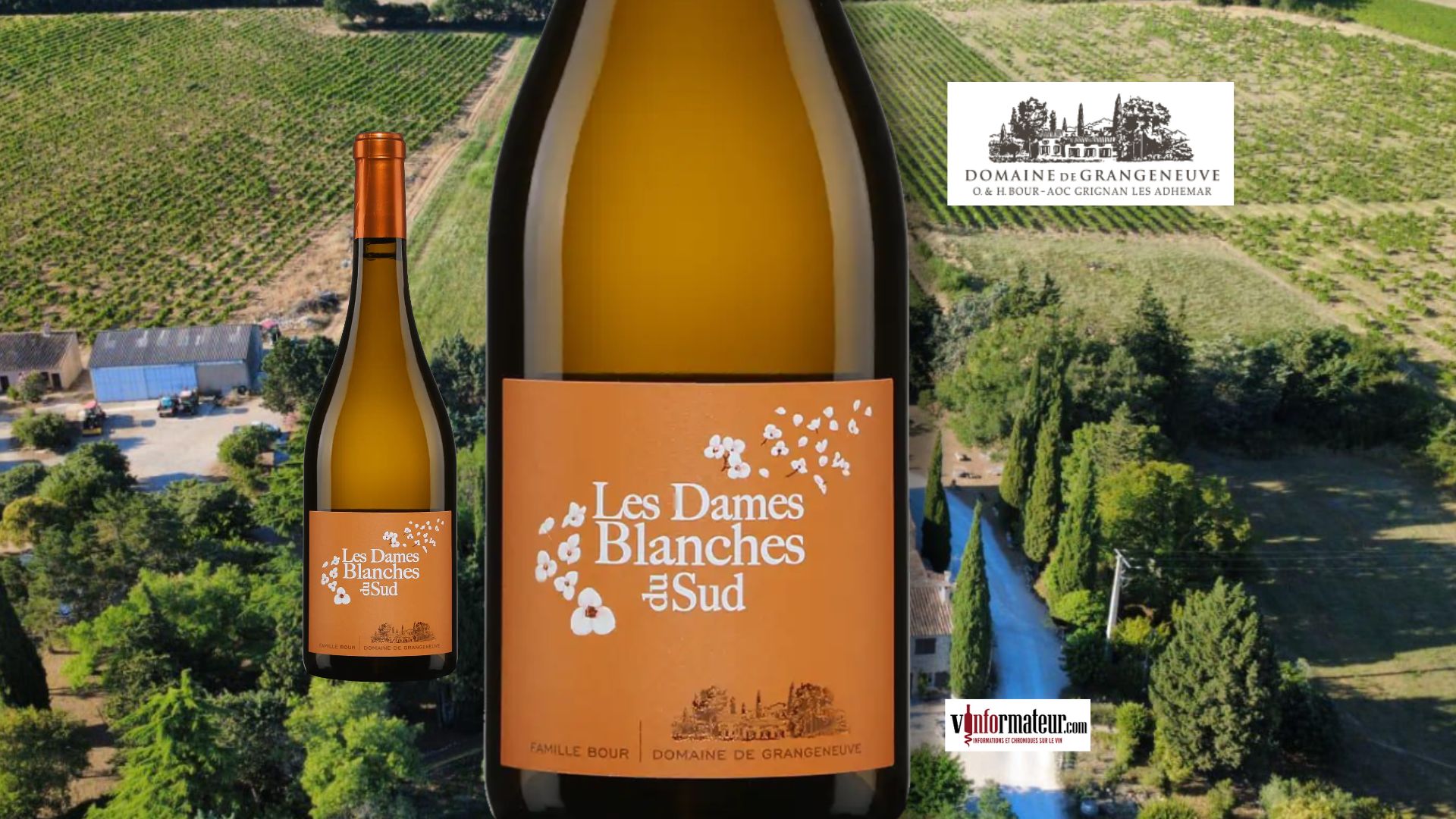 Les Dames Blanches du Sud 2023 – Vin blanc du Rhône | Vinformateur