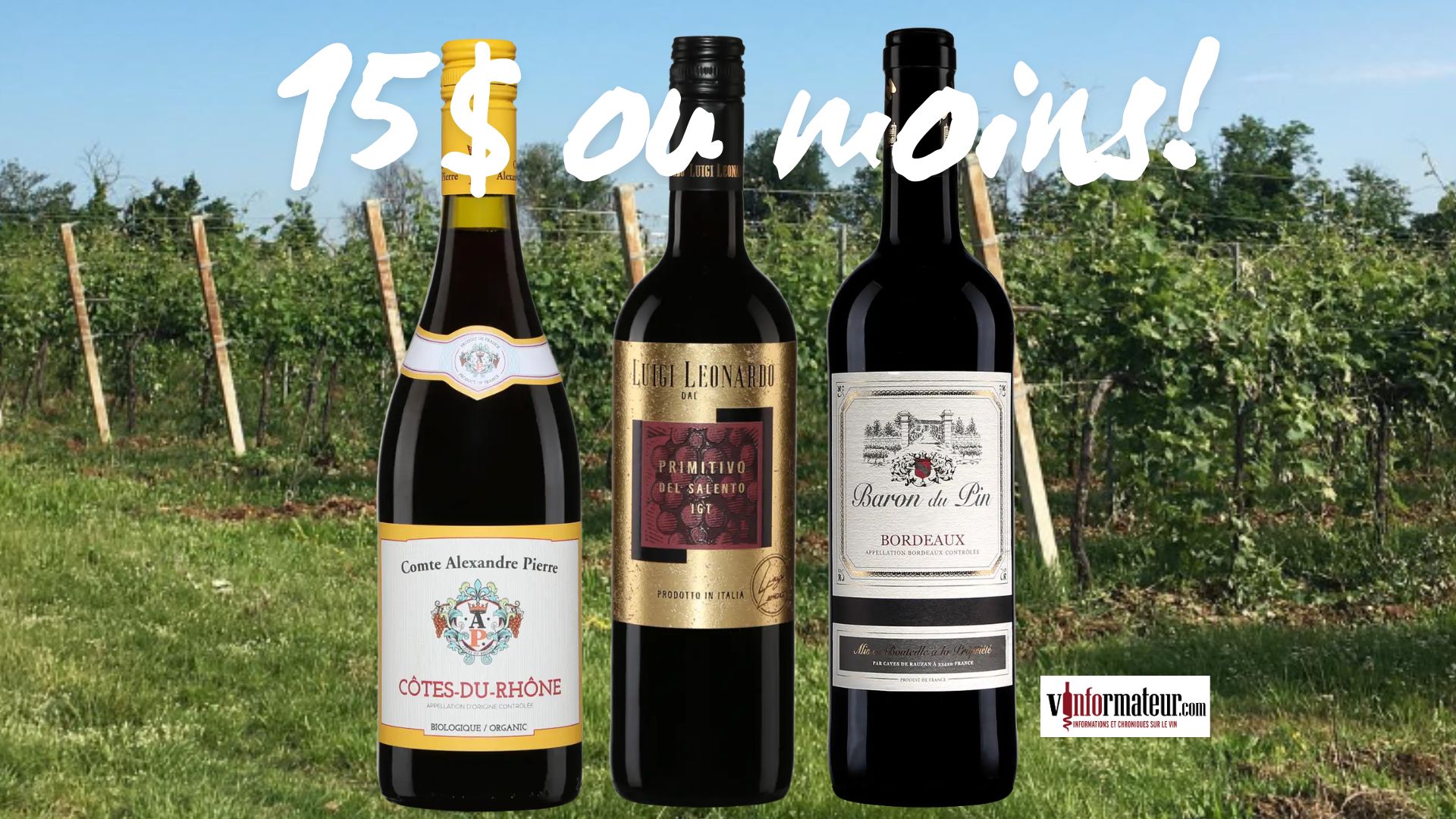 Trois vins rouges à 15 $ et moins à la SAQ | Vinformateur