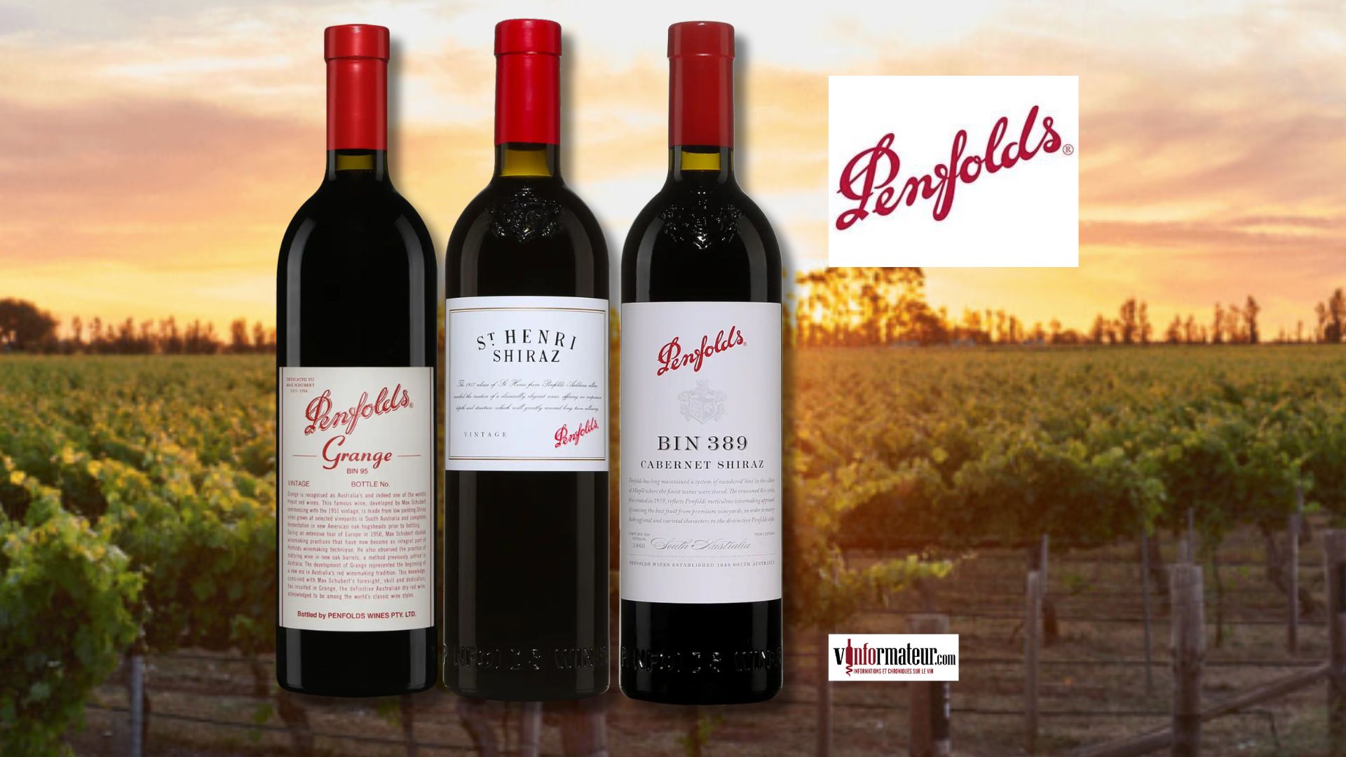 Penfolds Grange, Bin 389 et St-Henri : dégustation à Montréal ...