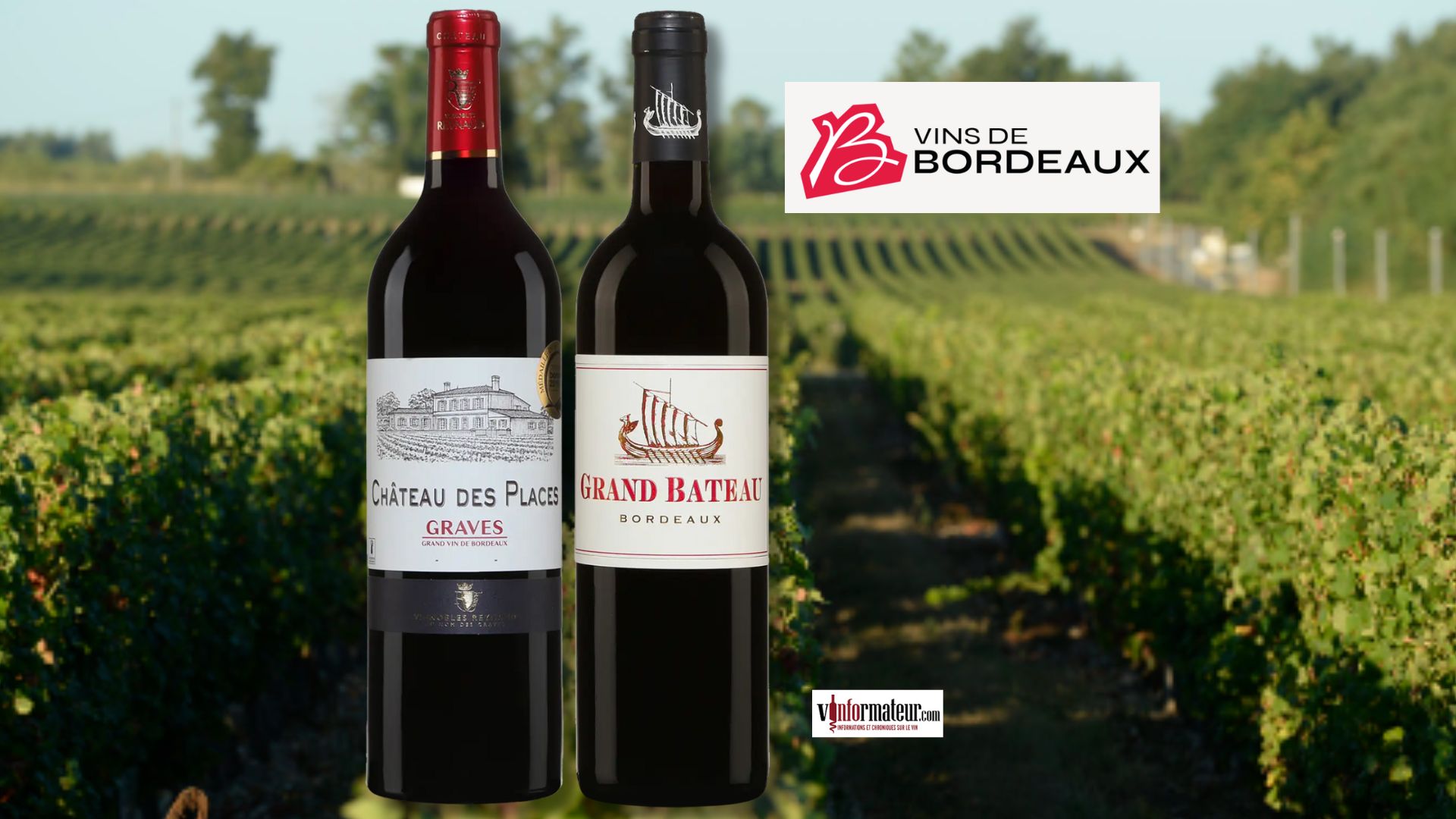 Bordeaux : Deux styles, deux visions | Vinformateur