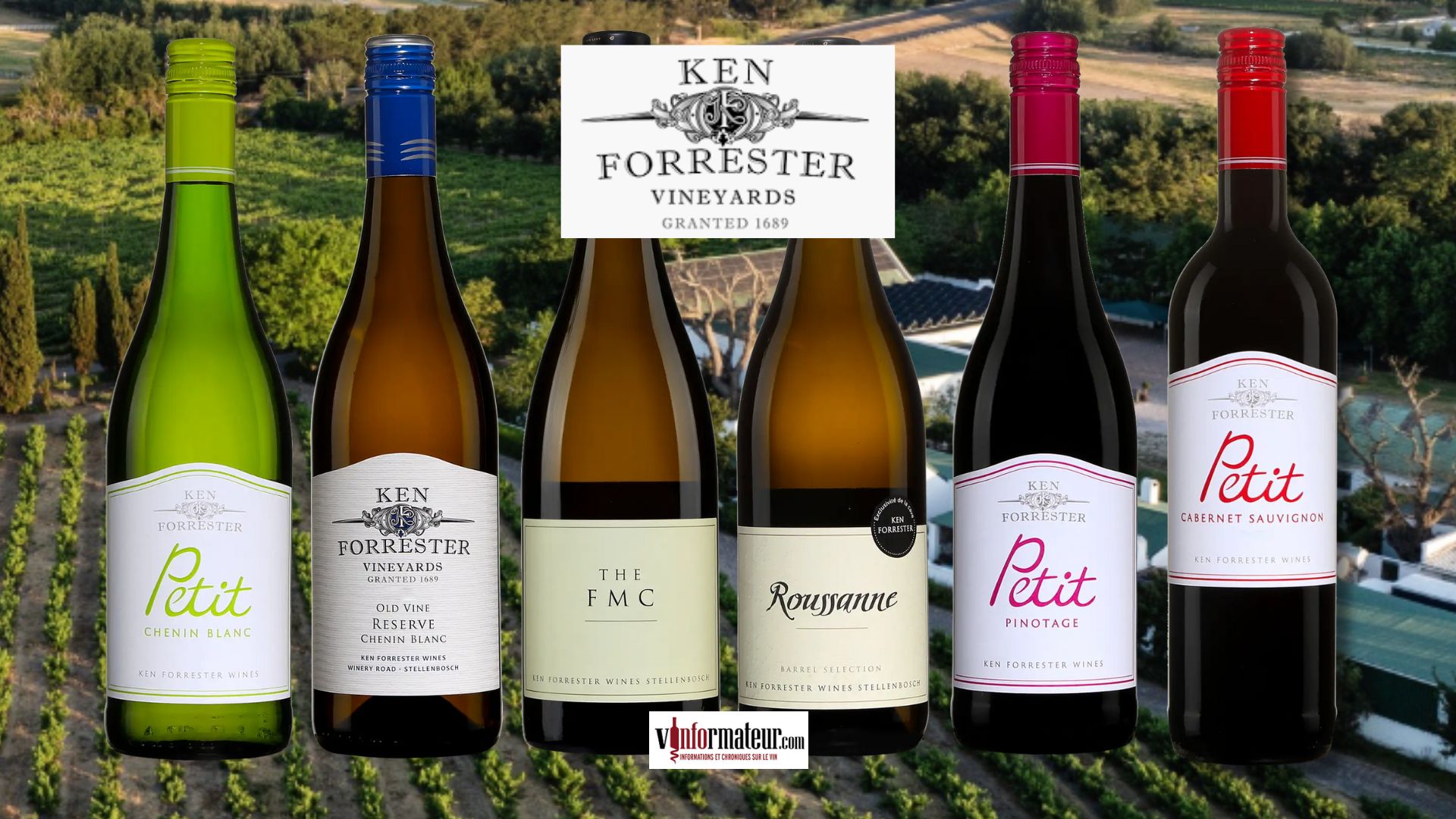 Ken Forrester : le Chenin Blanc sud-africain à son sommet | Vinformateur