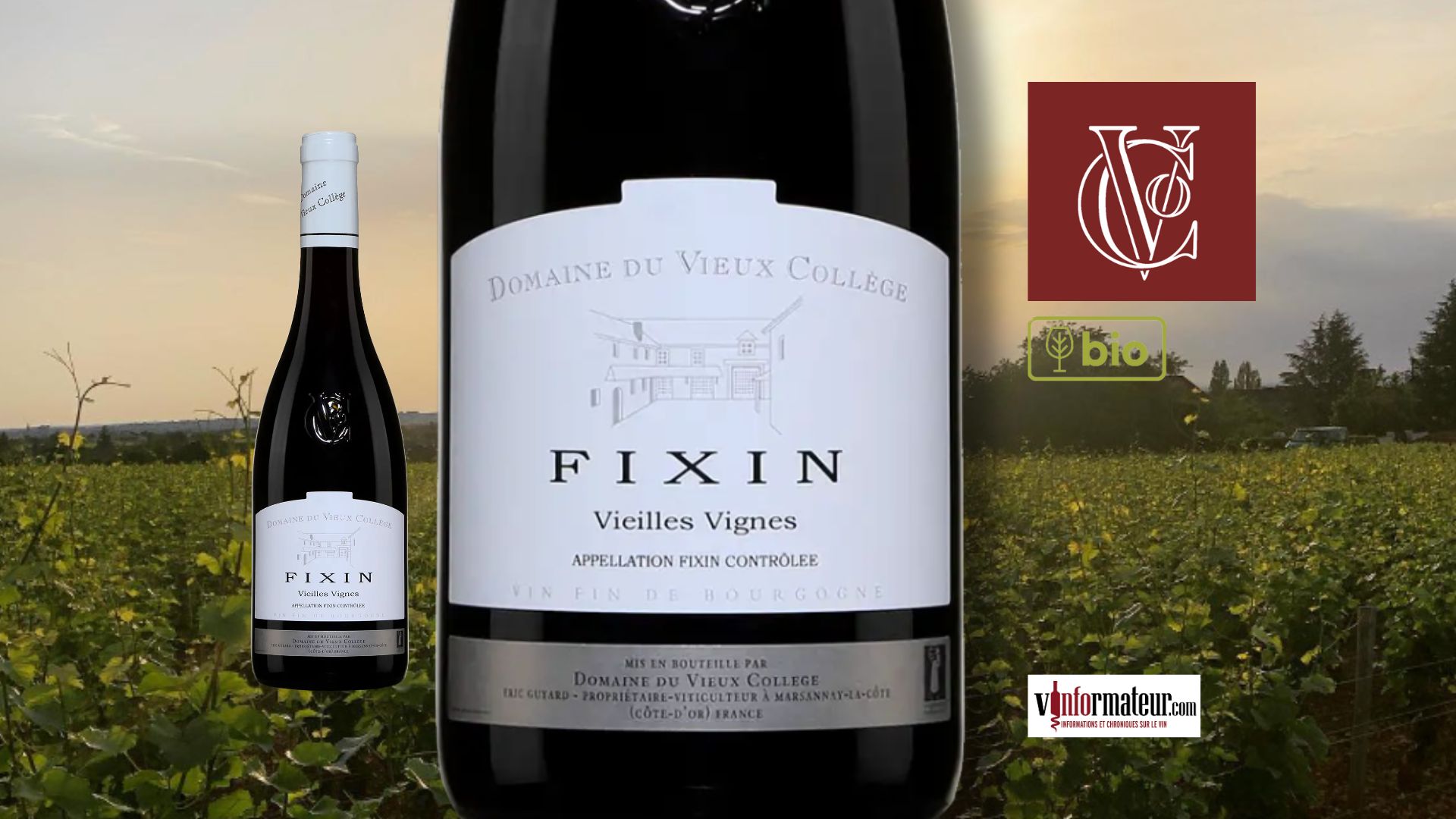 Fixin Domaine du Vieux Collège 2023 | Pinot Noir de Côte de Nuits ...